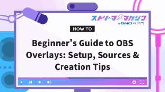 Beginner's Guide to OBS Overlays: Setup, Sources & Creation Tips ...