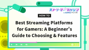 Best Streaming Platforms for Gamers: A Beginner's Guide to Choosing ...